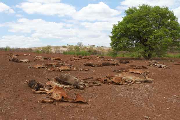 Diario de Pernambuco - Rumo aos 200 anos
