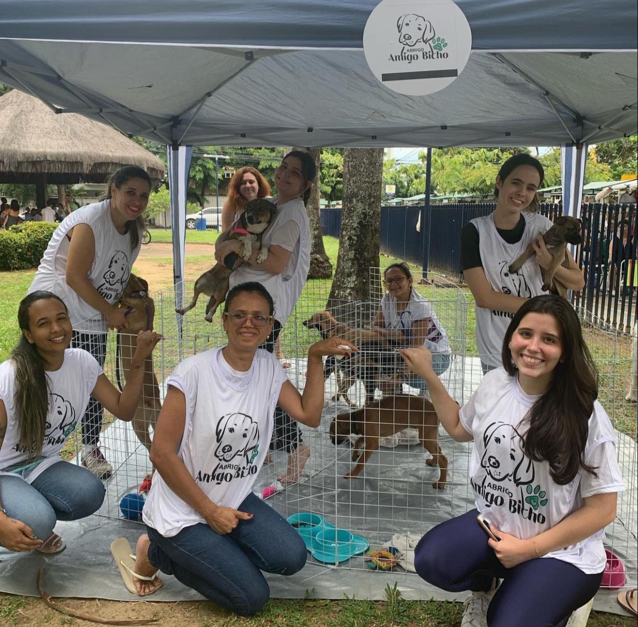 Campanha "Natal Solidário" visa ajudar o Abrigo Amigo Bicho | Diario de Pernambuco - Rumo aos ...