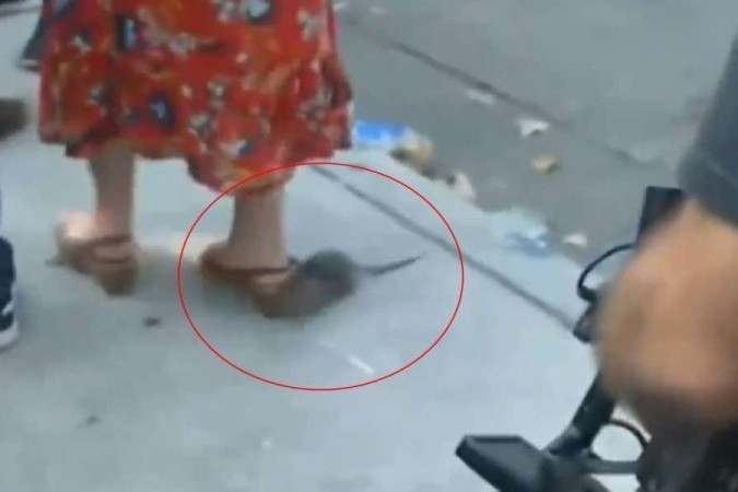 Rato interrompe entrevista de prefeito e causa gritos e correria ...